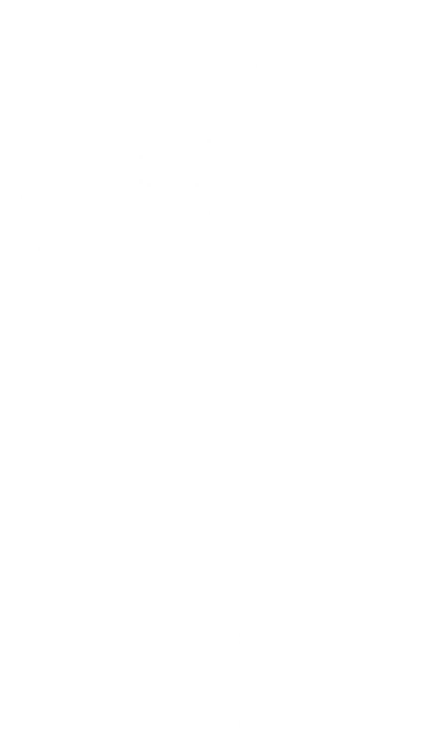 bqs. | The trust. We make. - bqs. certification body